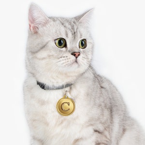 Personalized Dog Tag Custom Cat Tag With Initial Letter Pendant Pet ...