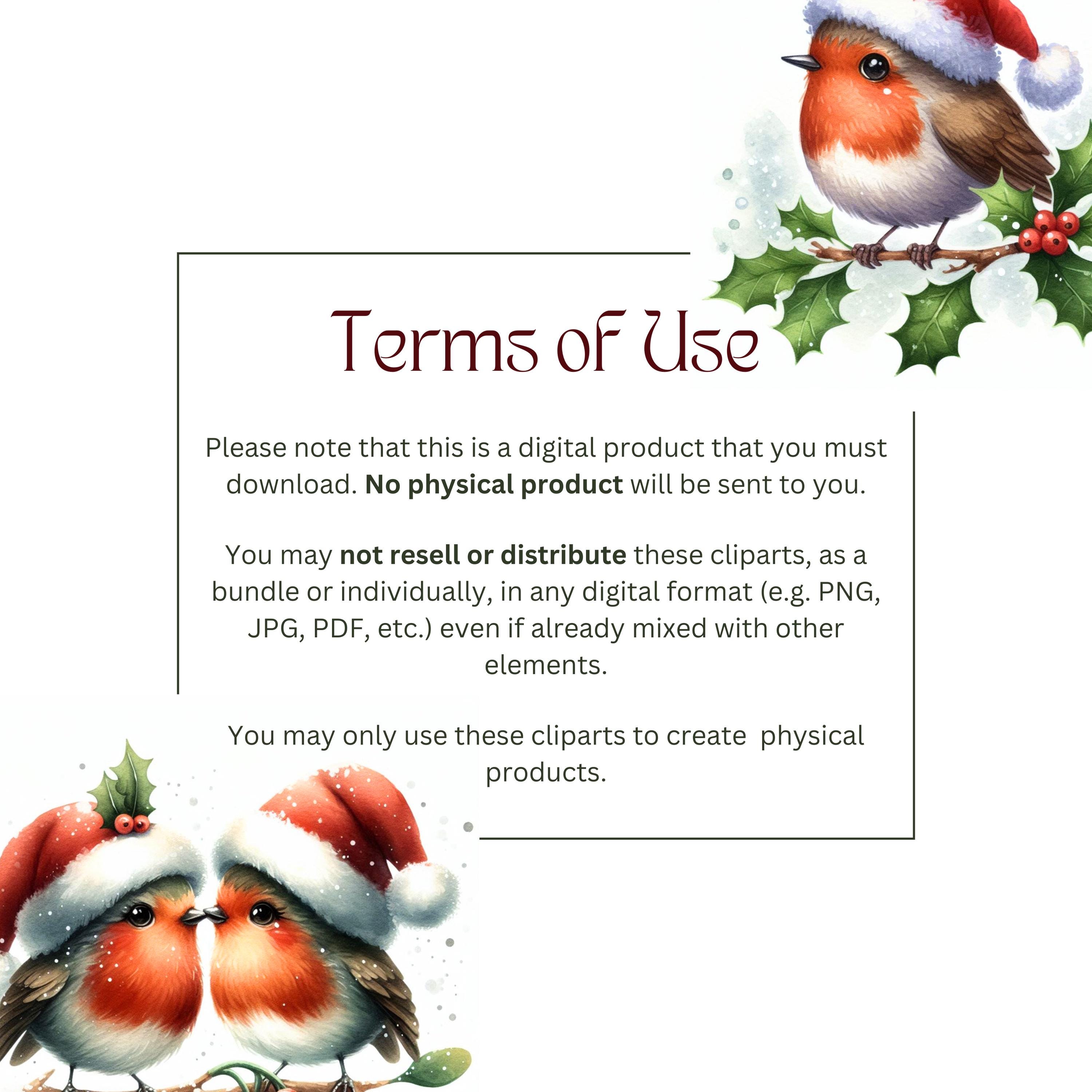 Christmas ROBINS Clipart PNG 15 Cute Whimsical Winter Robin Holiday ...