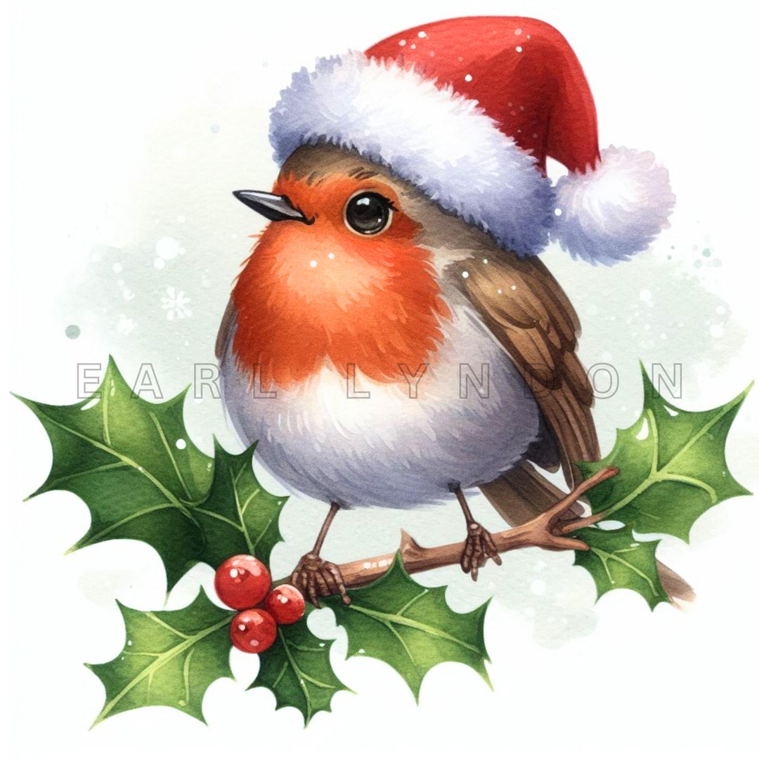 Christmas ROBINS Clipart PNG 15 Cute Whimsical Winter Robin Holiday ...