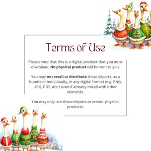 Quirky Christmas GEESE Clipart PNG 15 Cute Whimsical Winter Goose Junk ...