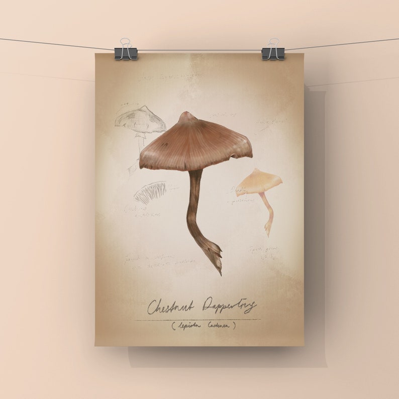 CHESTNUT DAPPERLING Mushroom Poster Gouache Painting Vintage Style Art ...