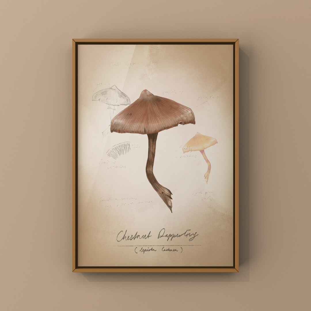 CHESTNUT DAPPERLING Mushroom Poster Gouache Painting Vintage Style Art ...