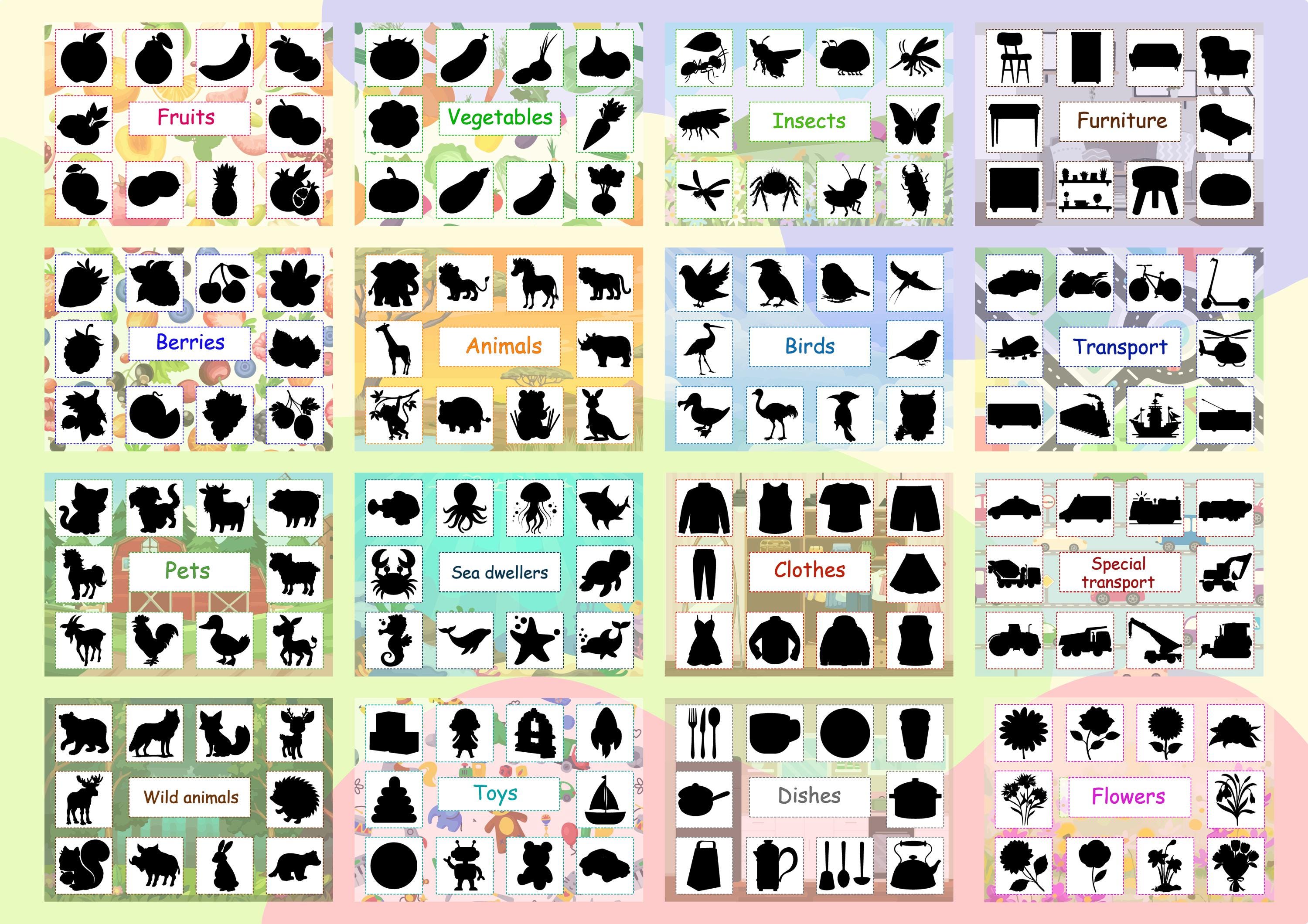 Educational Game for Children, Find the Silhouette, Find the Shadow ...