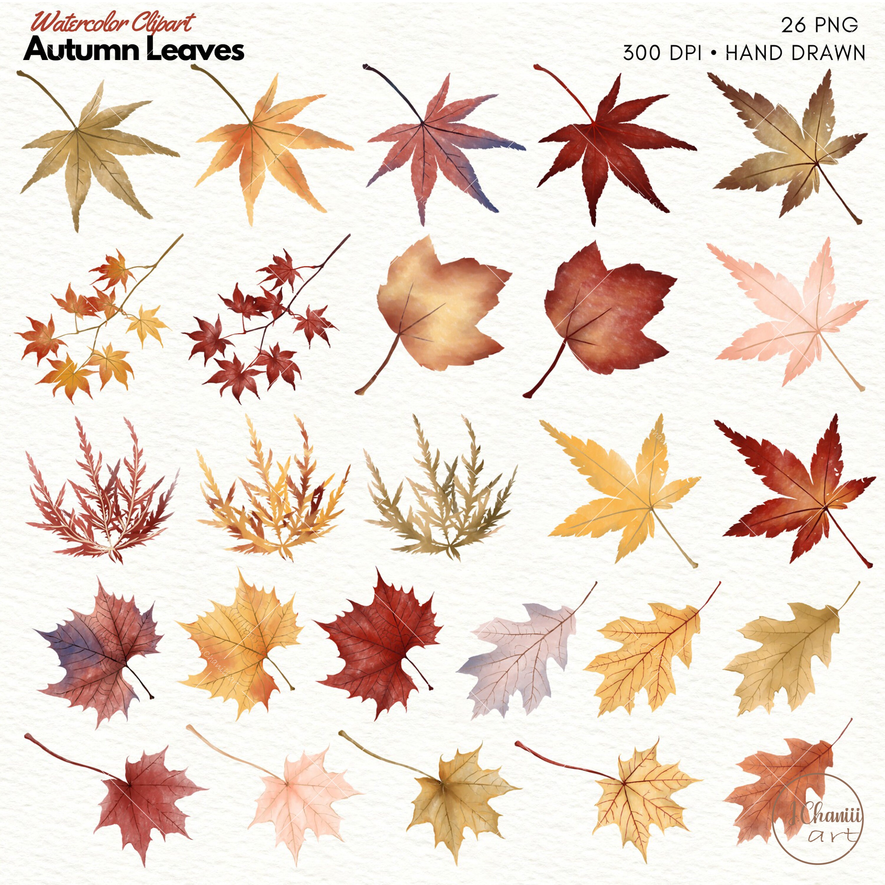 Watercolor Autumn Leaves Clipart: Hand-painted Fall Decor (PNG Files ...