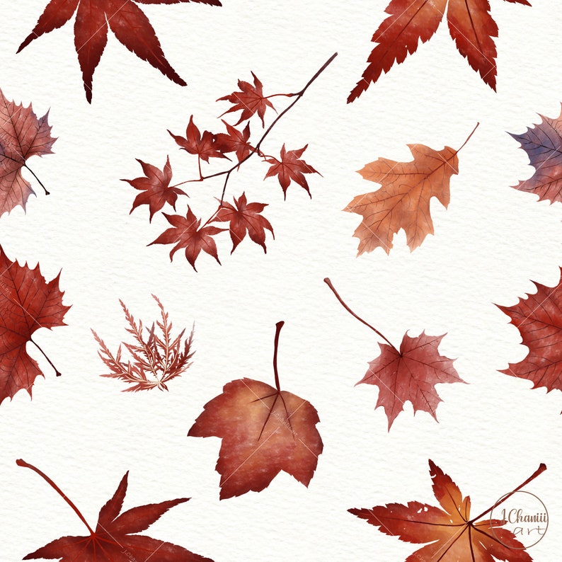 Watercolor Autumn Leaves Clipart: Hand-painted Fall Decor (PNG Files ...
