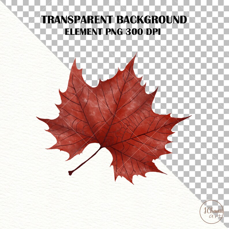 Watercolor Autumn Leaves Clipart: Hand-painted Fall Decor (PNG Files ...