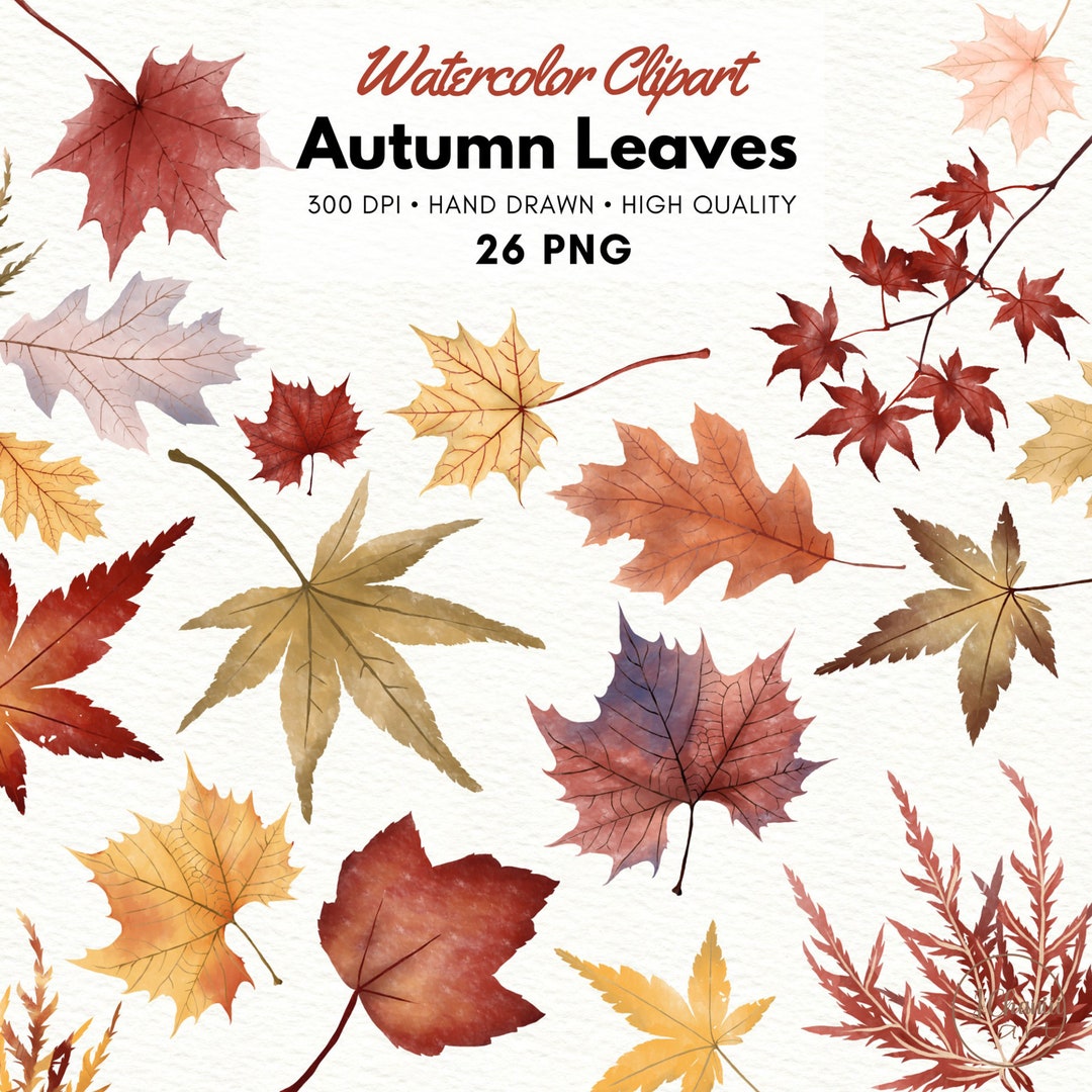 Watercolor Autumn Leaves Clipart: Hand-painted Fall Decor (PNG Files ...