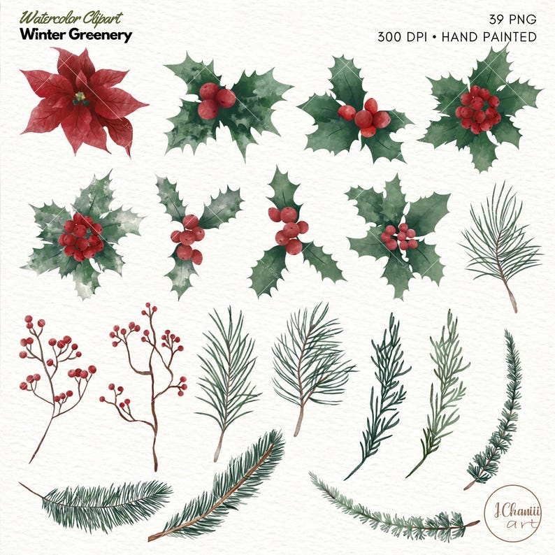 Watercolor Christmas Clipart, Winter Greenery, Holly (PNG Files) - Etsy