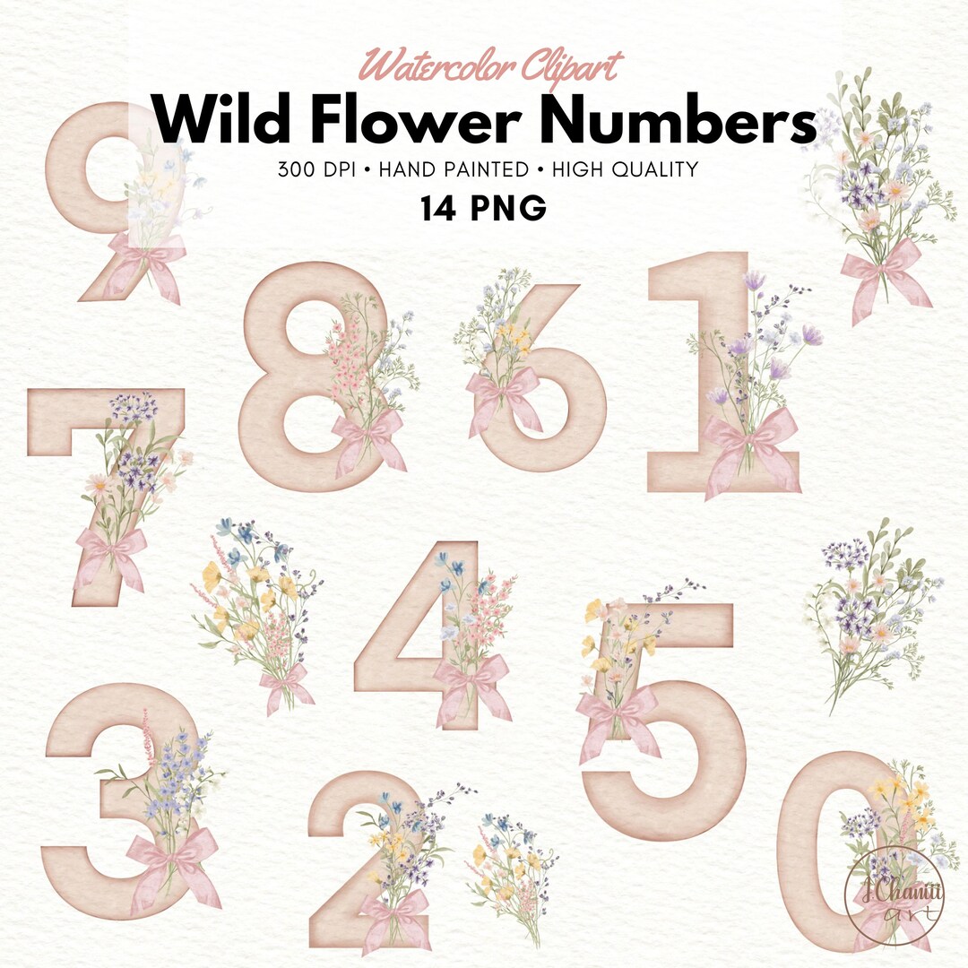 Wildflower Numbers Clipart, Watercolor Cute Numbers Clip Art, 0-9 ...