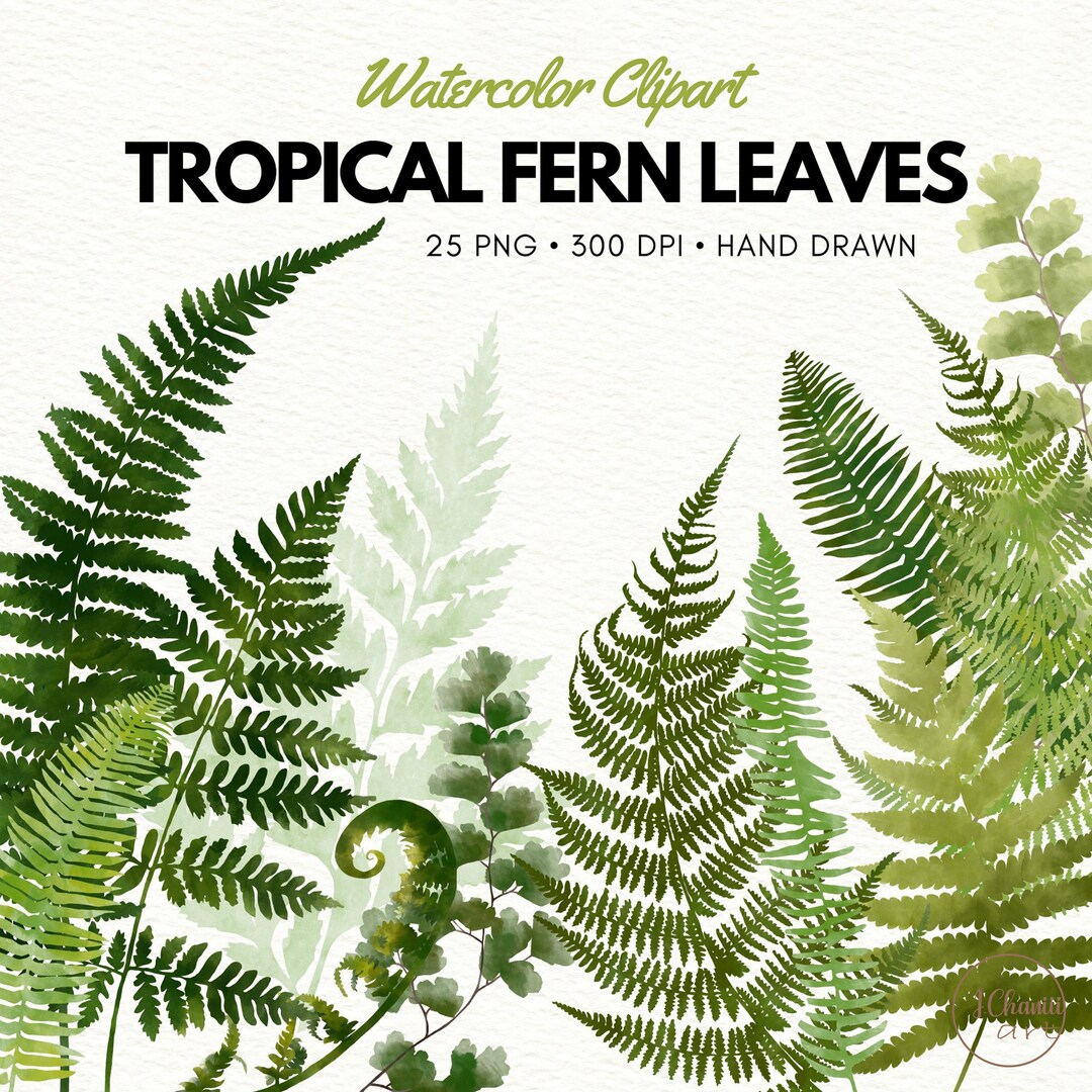 Watercolor Tropical Fern Leaves Clipart: PNG Greenery Plant Print ...