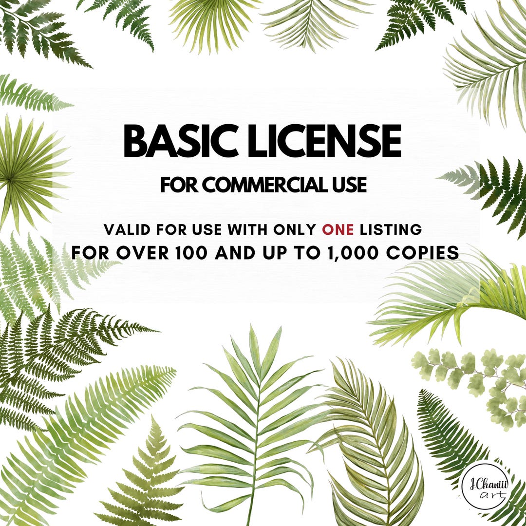 Basic License, Limited Commercial License NO Credit Required for ONE ...