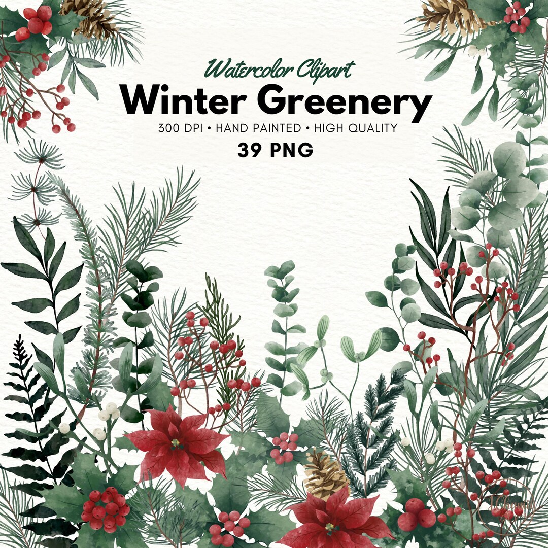 Watercolor Christmas Clipart, Winter Greenery, Holly (PNG Files) - Etsy