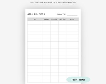 Monthly Budget Planner Printable & Fillable PDF, Budget Tracker ...