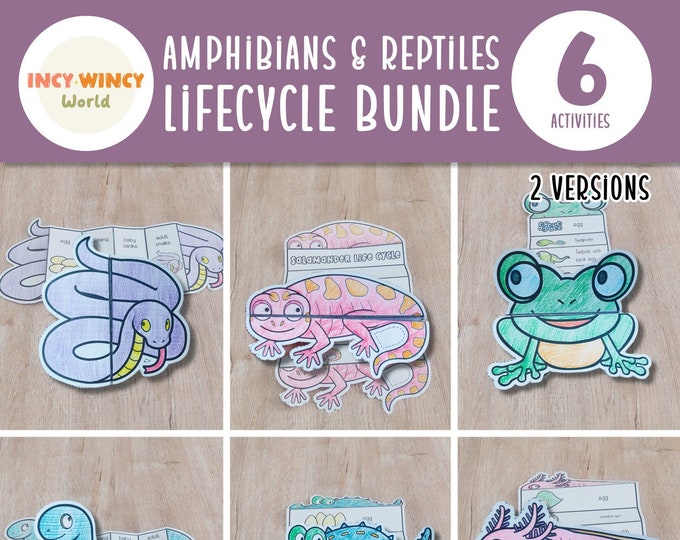 Axolotl Life Cycle Foldable Amphibian Life Cycle Learning Activity for ...