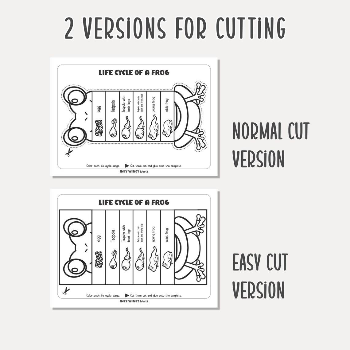 Amphibian & Reptile Life Cycle Foldable | Bundle Life Cycle | Dinosaur ...