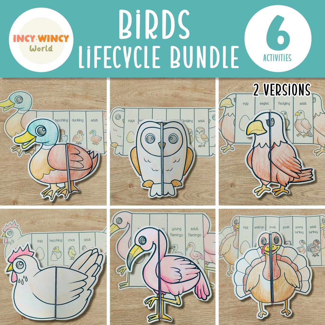 Bird Life Cycle Foldable | Bundle Life Cycle | Chicken Turkey Eagle ...