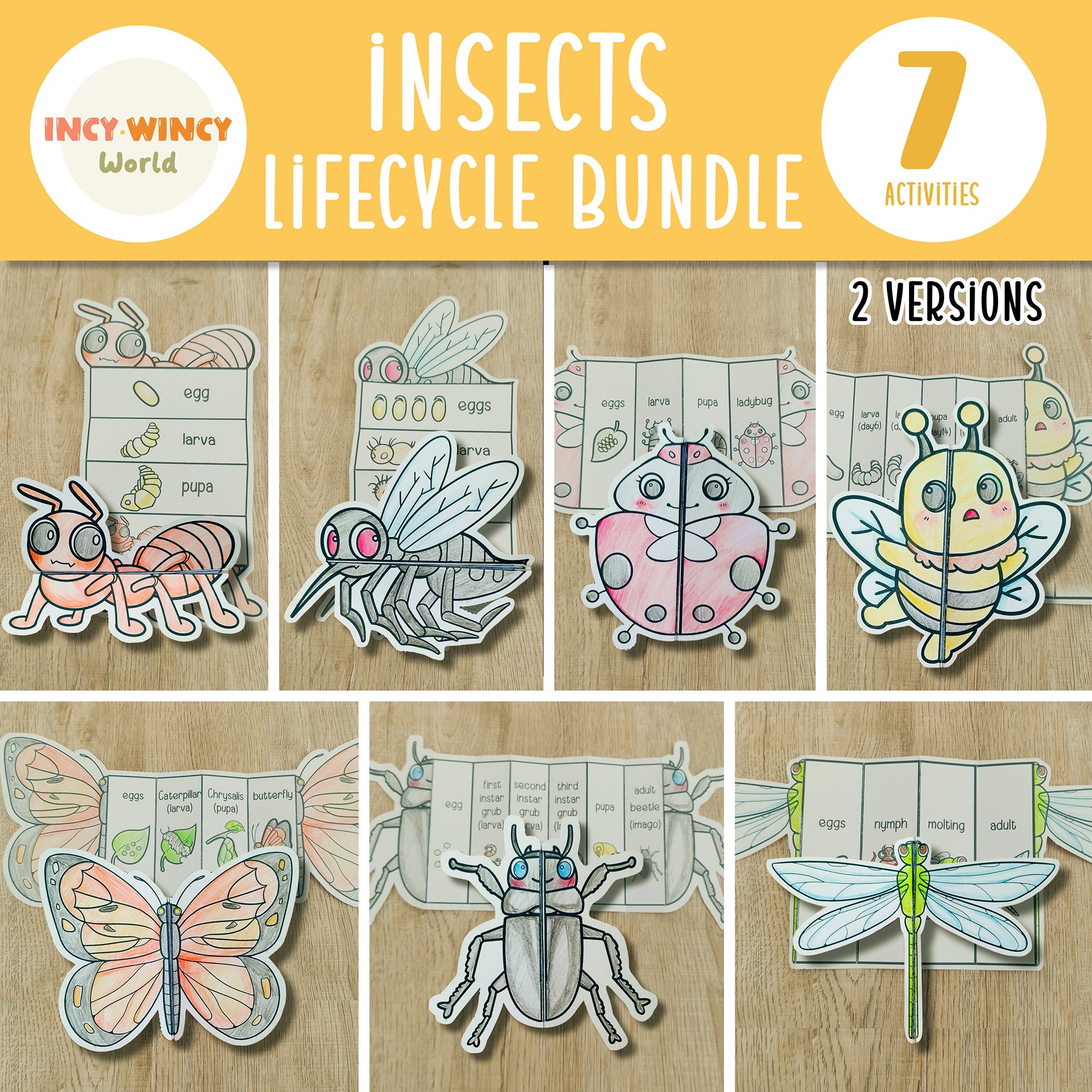 Insect Life Cycle Foldable | Bundle Life Cycle | Butterfly Beetle Bee ...