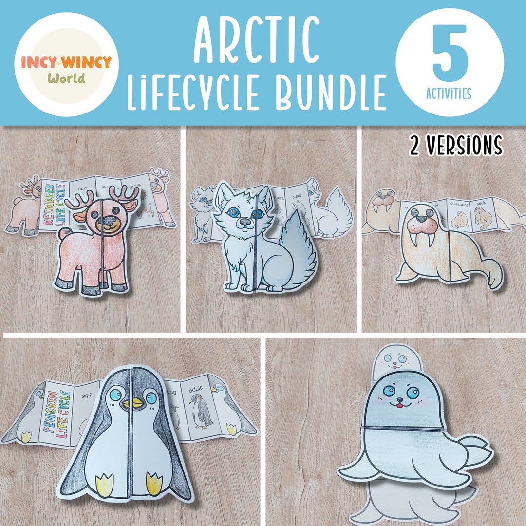 Arctic Animals Life Cycle Foldable | Bundle Life Cycle | Penguin Harp ...