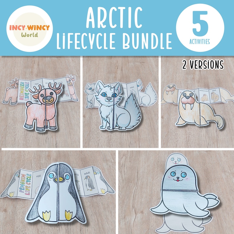 Arctic Animals Life Cycle Foldable | Bundle Life Cycle | Penguin Harp ...