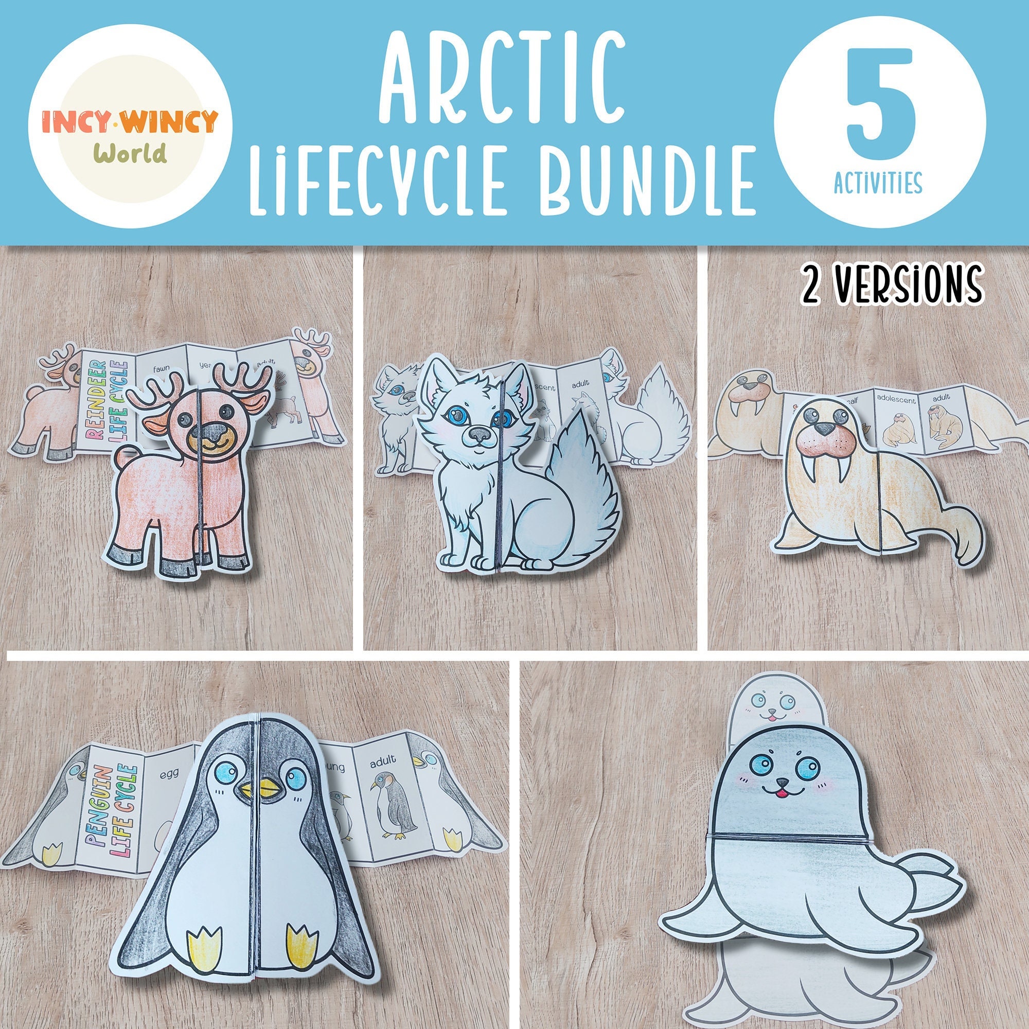 Arctic Animals Life Cycle Foldable | Bundle Life Cycle | Penguin Harp ...