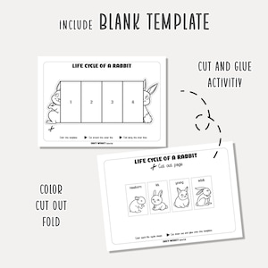 Mammal Life Cycle Foldable | Bundle Life Cycle | Sheep Bat Cat Cow Deer ...