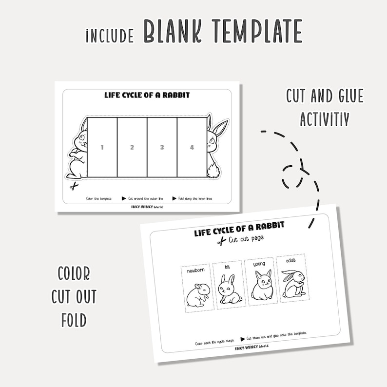 Mammal Life Cycle Foldable | Bundle Life Cycle | Sheep Bat Cat Cow Deer ...