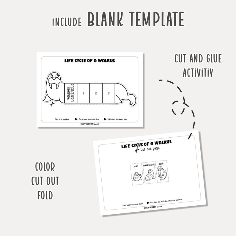 Arctic Animals Life Cycle Foldable | Bundle Life Cycle | Penguin Harp ...