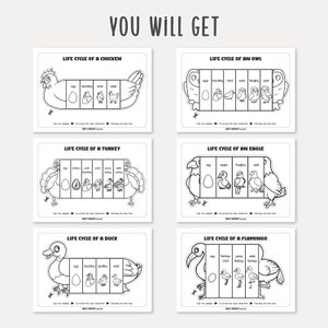 Bird Life Cycle Foldable | Bundle Life Cycle | Chicken Turkey Eagle ...