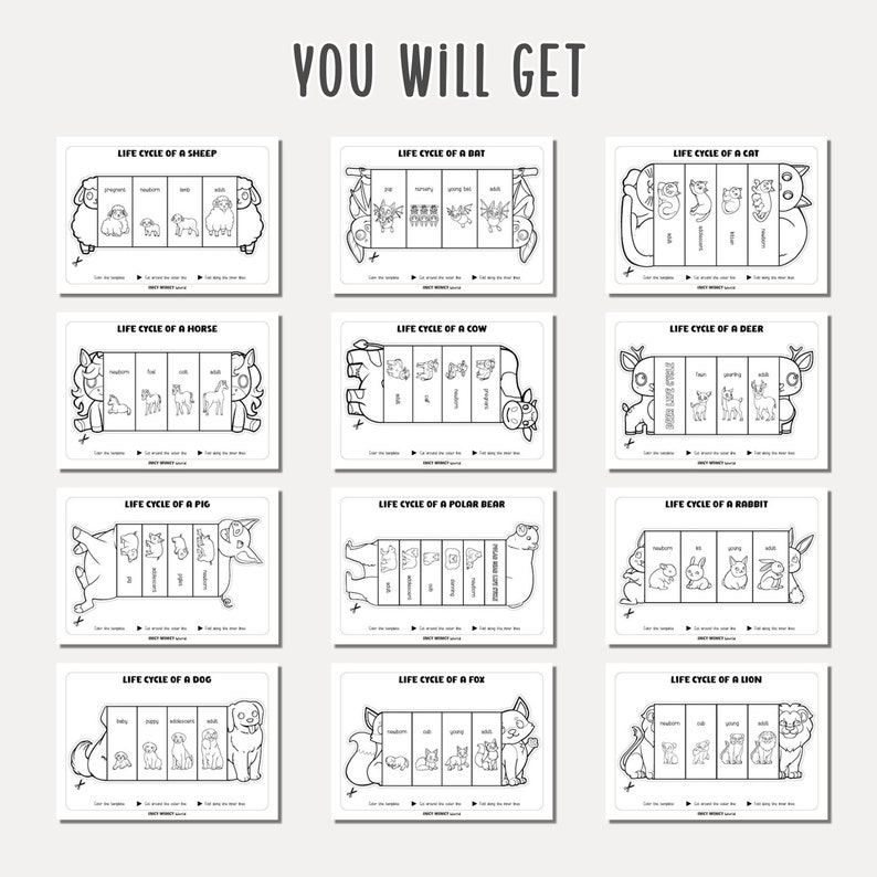 Mammal Life Cycle Foldable | Bundle Life Cycle | Sheep Bat Cat Cow Deer ...
