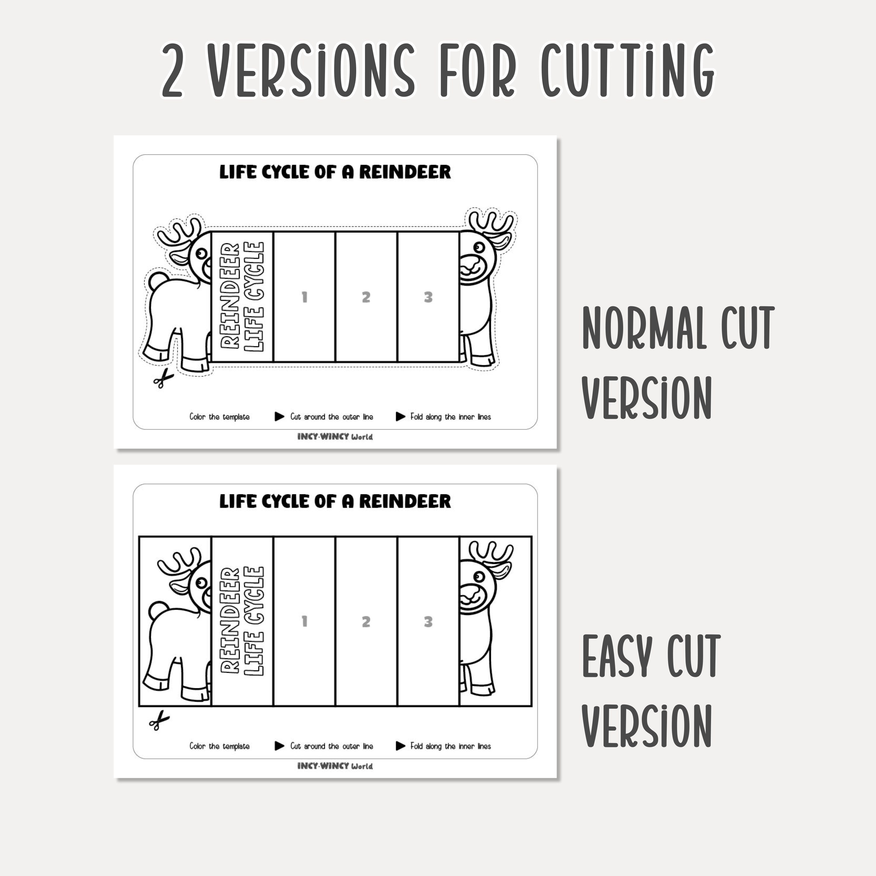 Arctic Animals Life Cycle Foldable | Bundle Life Cycle | Penguin Harp ...