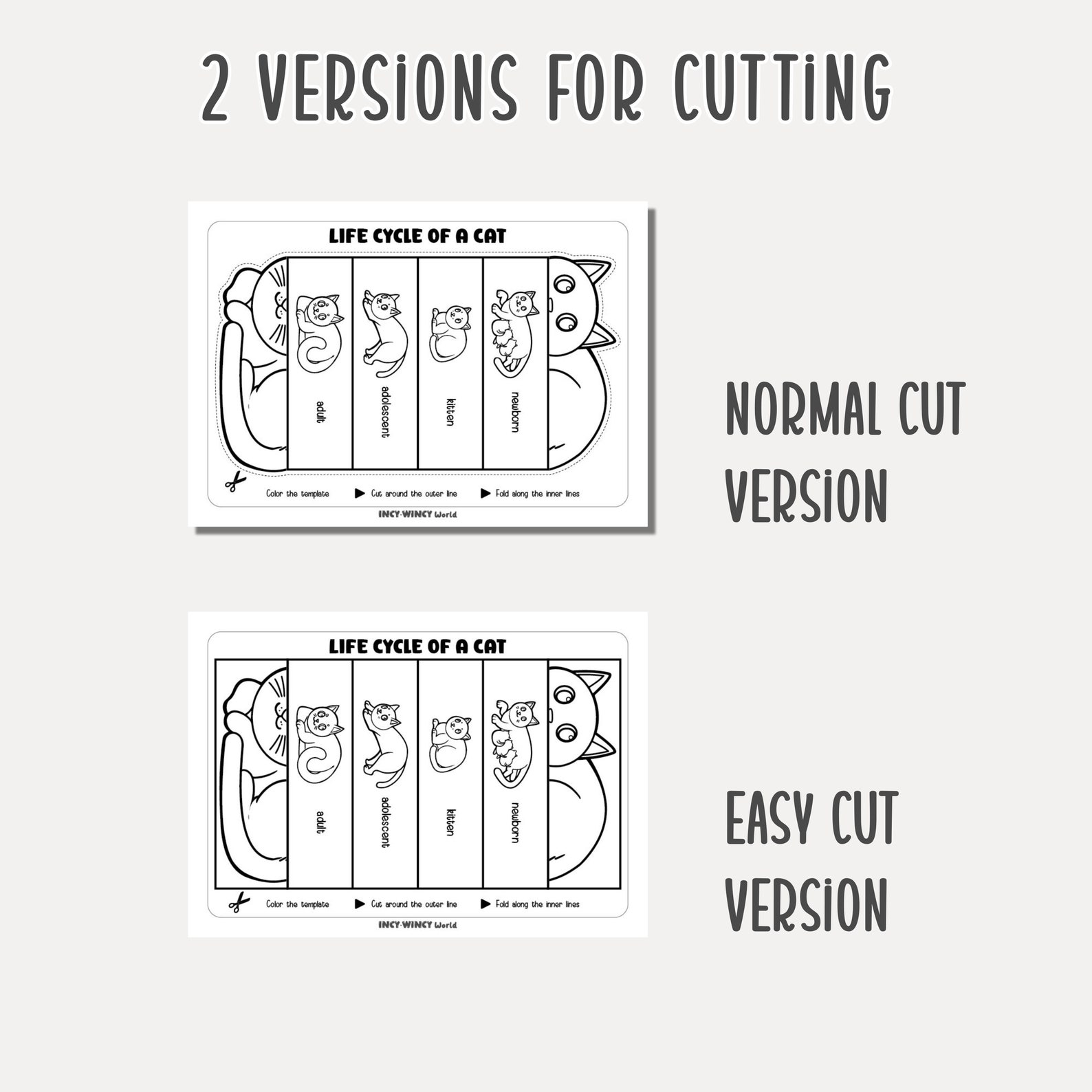 Mammal Life Cycle Foldable | Bundle Life Cycle | Sheep Bat Cat Cow Deer ...