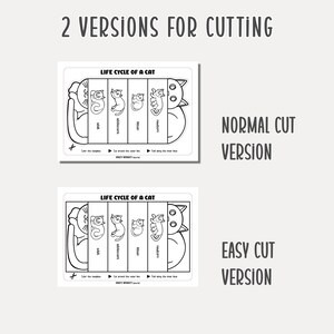 Mammal Life Cycle Foldable | Bundle Life Cycle | Sheep Bat Cat Cow Deer ...