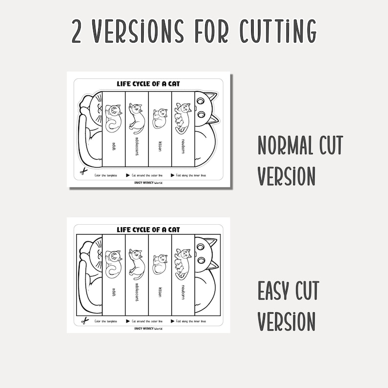 Mammal Life Cycle Foldable | Bundle Life Cycle | Sheep Bat Cat Cow Deer ...