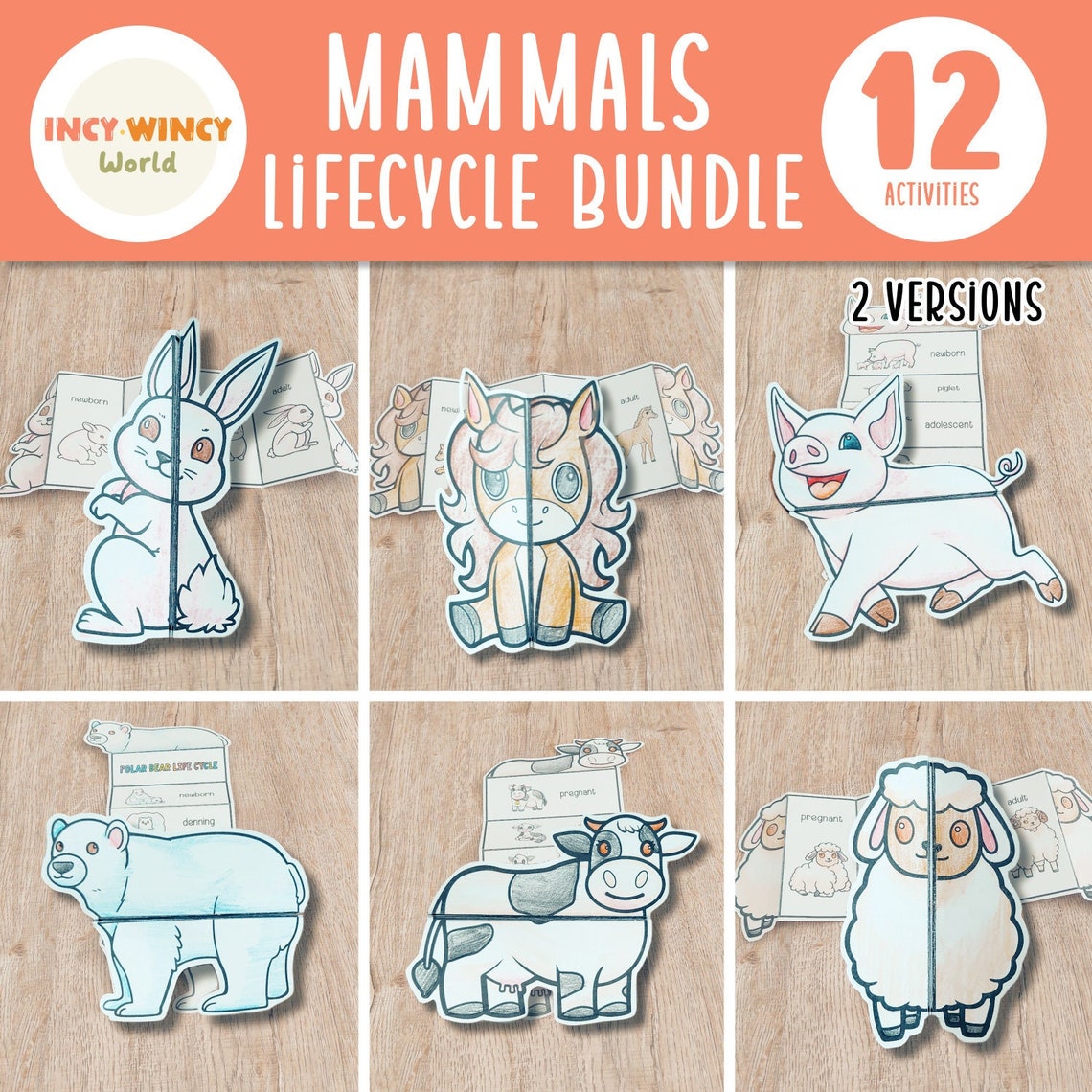 Mammal Life Cycle Foldable | Bundle Life Cycle | Sheep Bat Cat Cow Deer ...