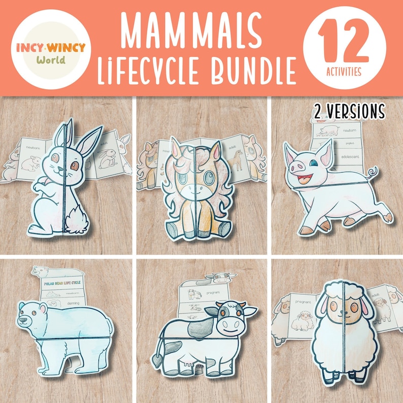 Mammal Life Cycle Foldable | Bundle Life Cycle | Sheep Bat Cat Cow Deer ...