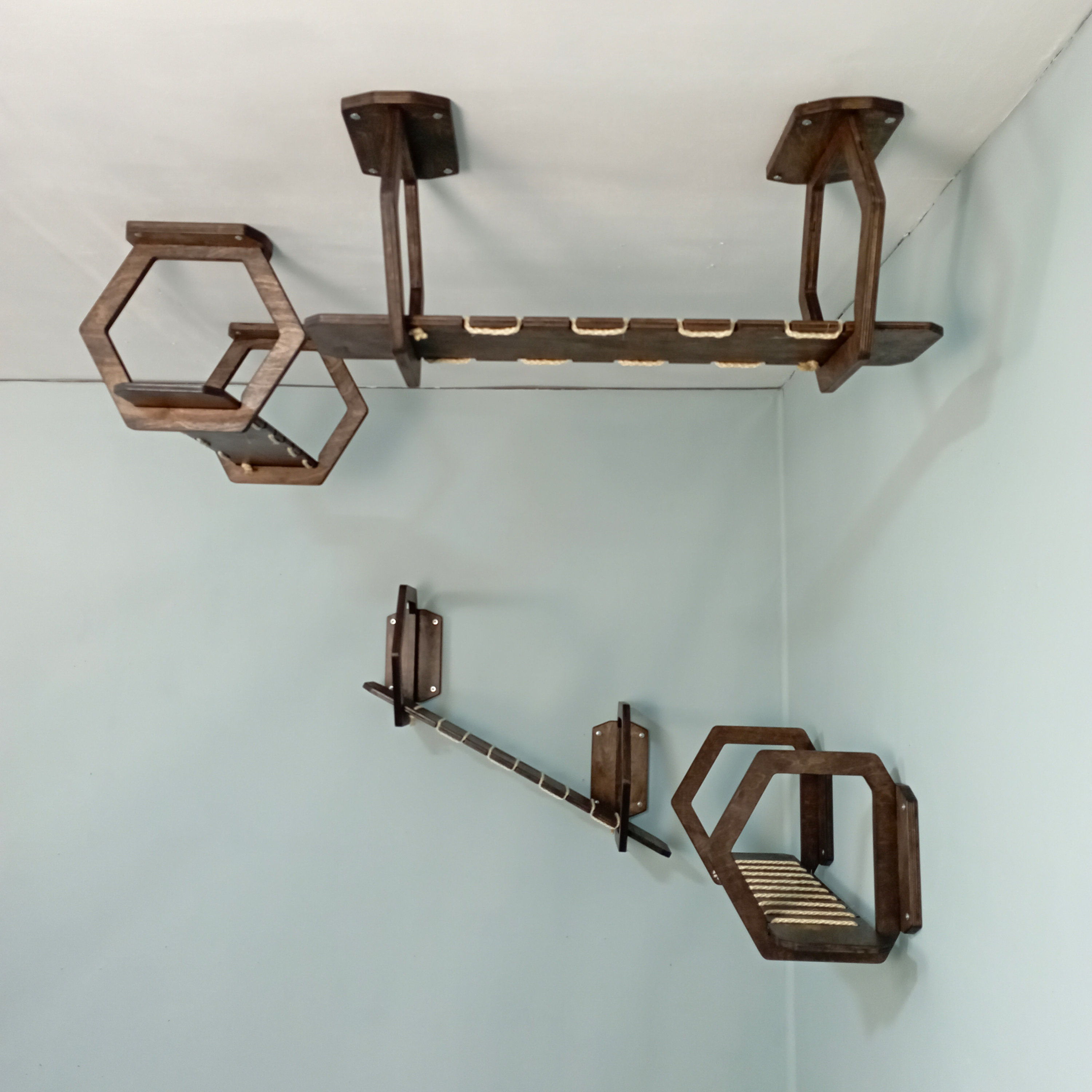 Modern Cat Shelf Set, Wall and Ceiling Mounted Cat Perches, Cat Wall ...