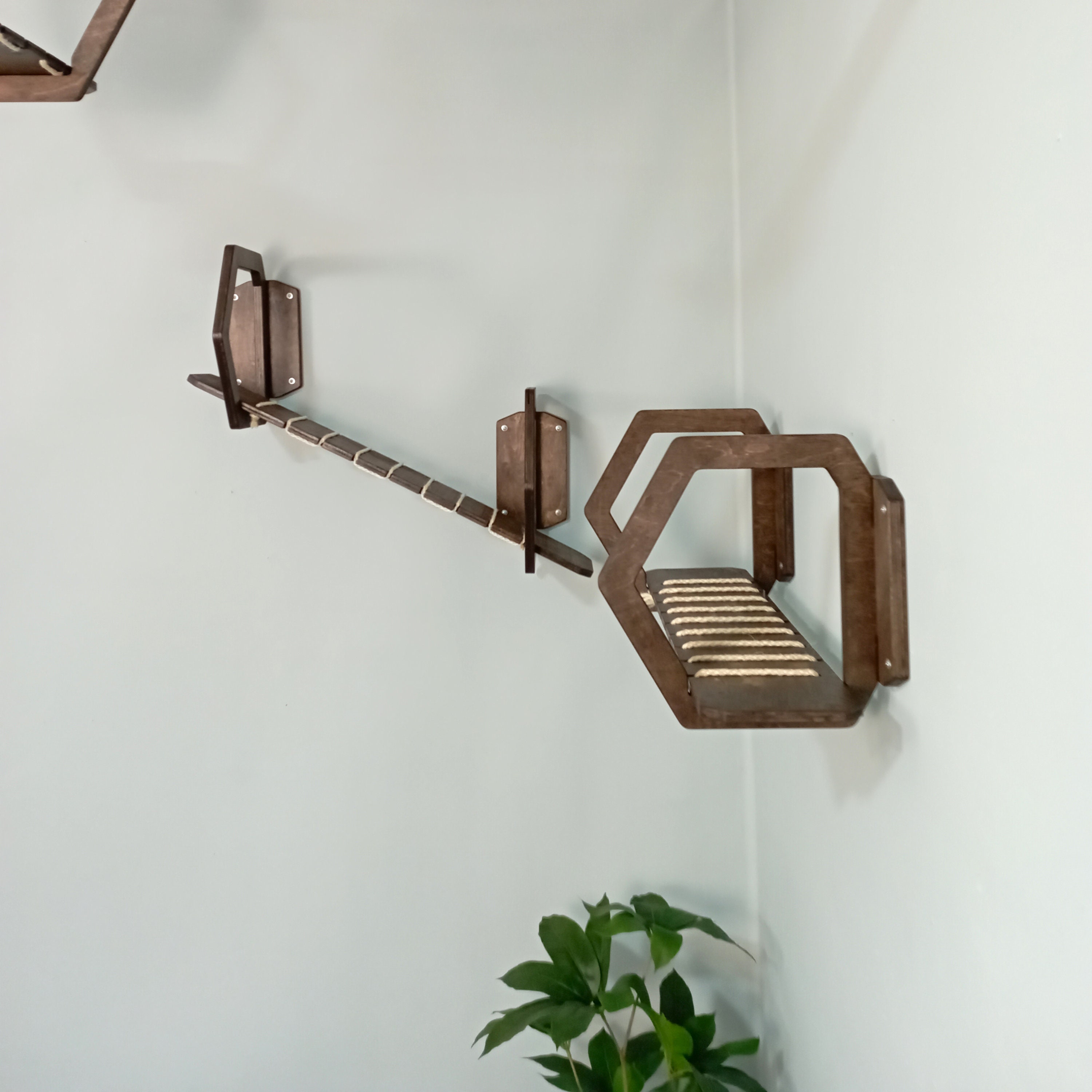 Modern Cat Shelf Set, Wall and Ceiling Mounted Cat Perches, Cat Wall ...