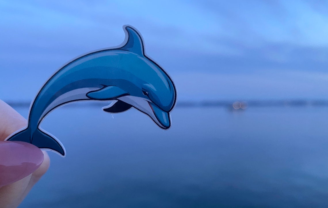 Colorful Dolphin Stickers - Ocean Themed Decal Sheet for Scrapbooking ...