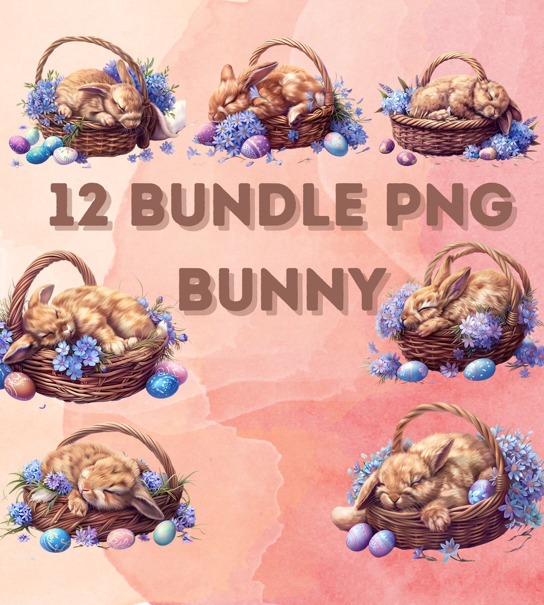 Easter Bunny in a Basket Clipart Bundle, Easter Clipart, Easter ...
