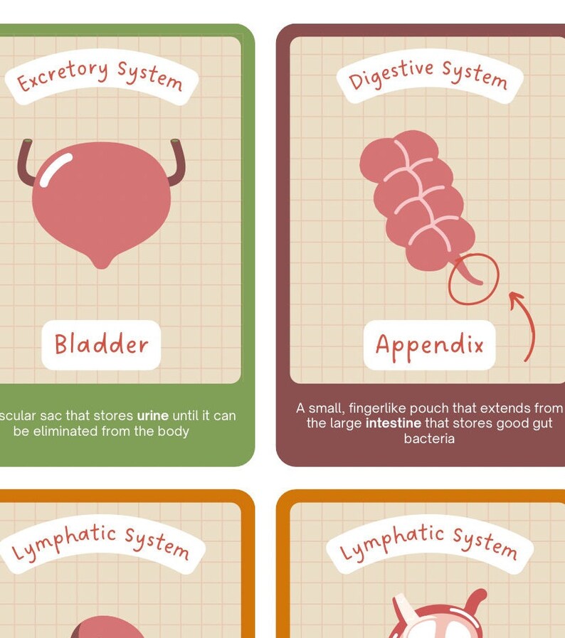 Digital Organ Flashcards - Etsy