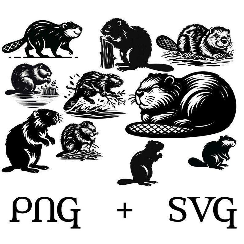 10 Premium Beaver Silhouettes Bundle Digital Download SVG & PNG Files ...