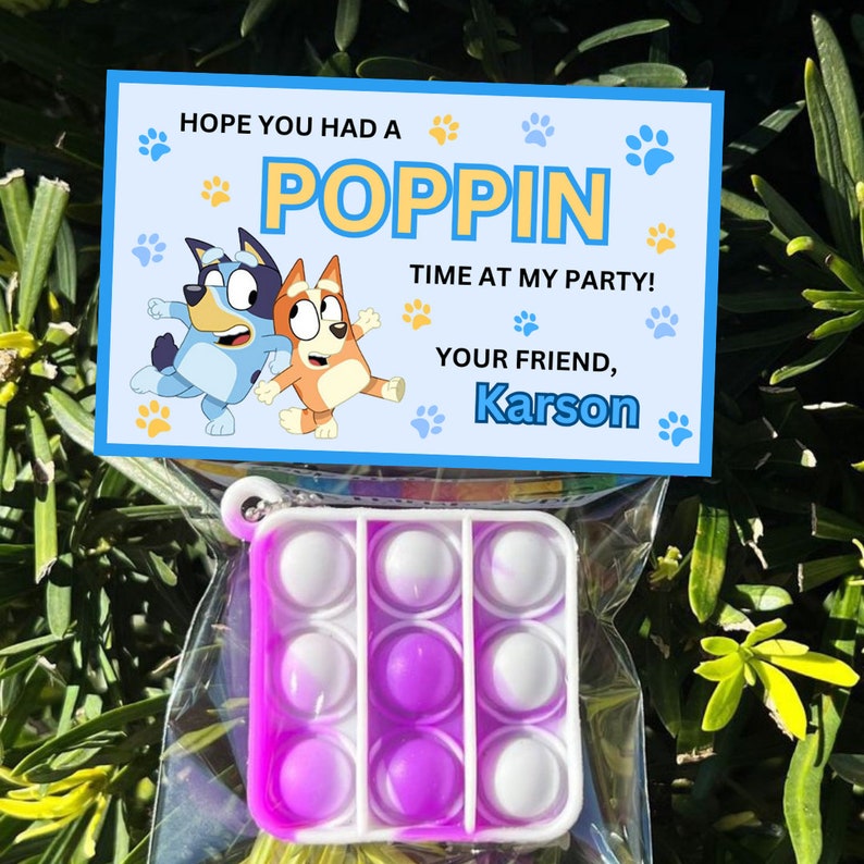 Bluey Poppin Tag Party Bluey Pop Fidgety Tag Bag Party Favors Bluey Boy ...