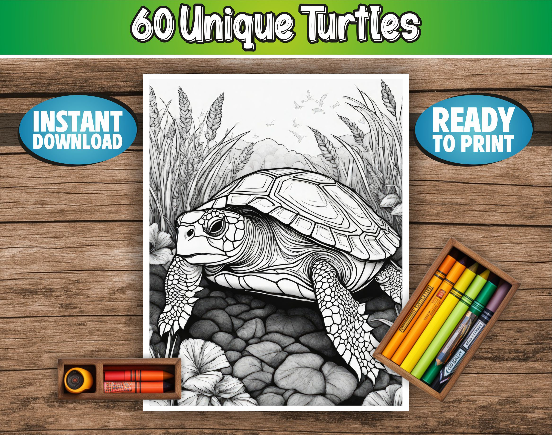 Turtles Coloring Book – 60 Turtles Coloring Pages for Adults & for Kids ...