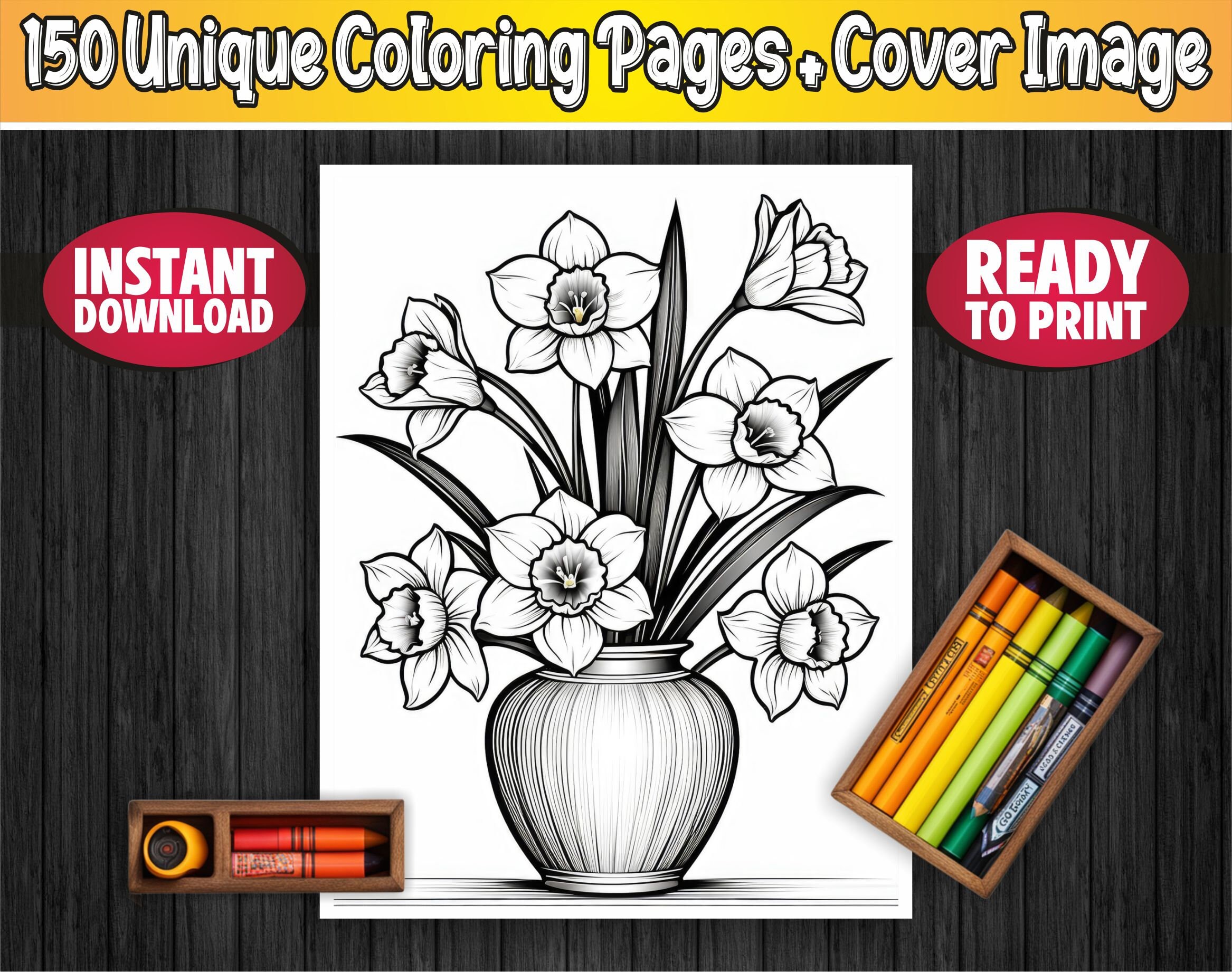 Daffodil Flowers Coloring Book - 150 Printable Pages (PDF + JPG) - Etsy