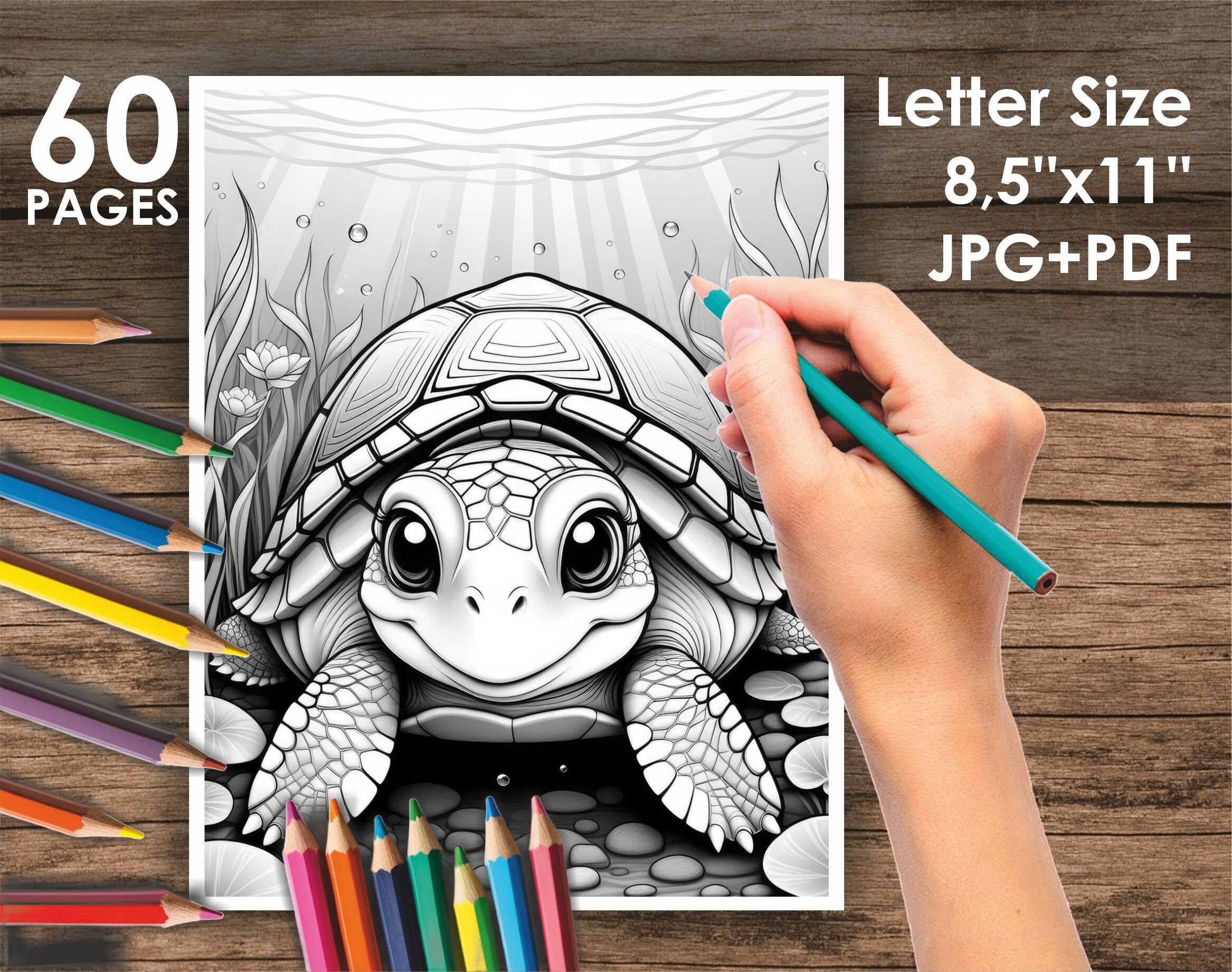 Turtles Coloring Book – 60 Turtles Coloring Pages for Adults & for Kids ...
