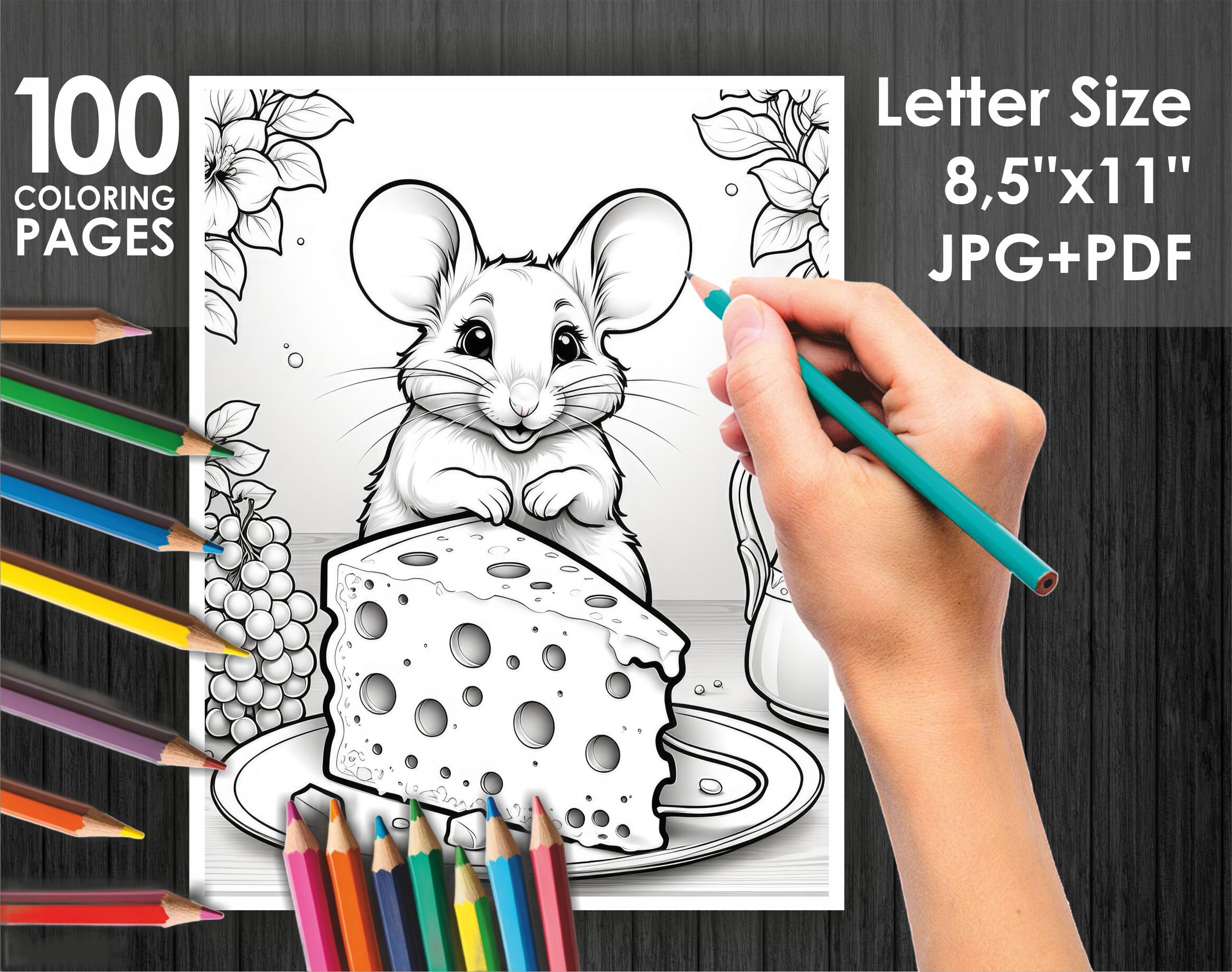 Mouse and Cheese Coloring Book 100 Mouse & Cheese Coloring Pages ...