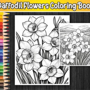 Daffodil Flowers Coloring Book - 150 Printable Pages (PDF + JPG) - Etsy