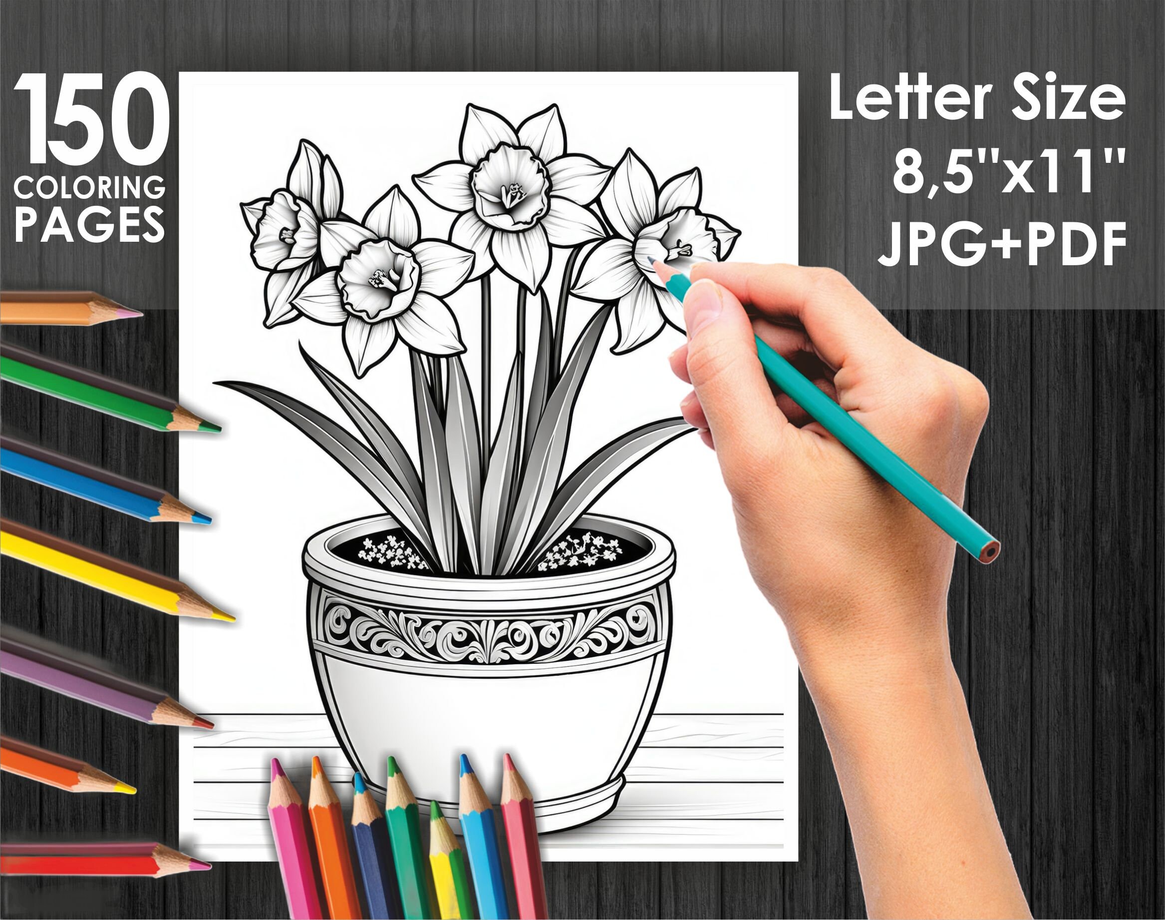 Daffodil Flowers Coloring Book - 150 Printable Pages (PDF + JPG) - Etsy