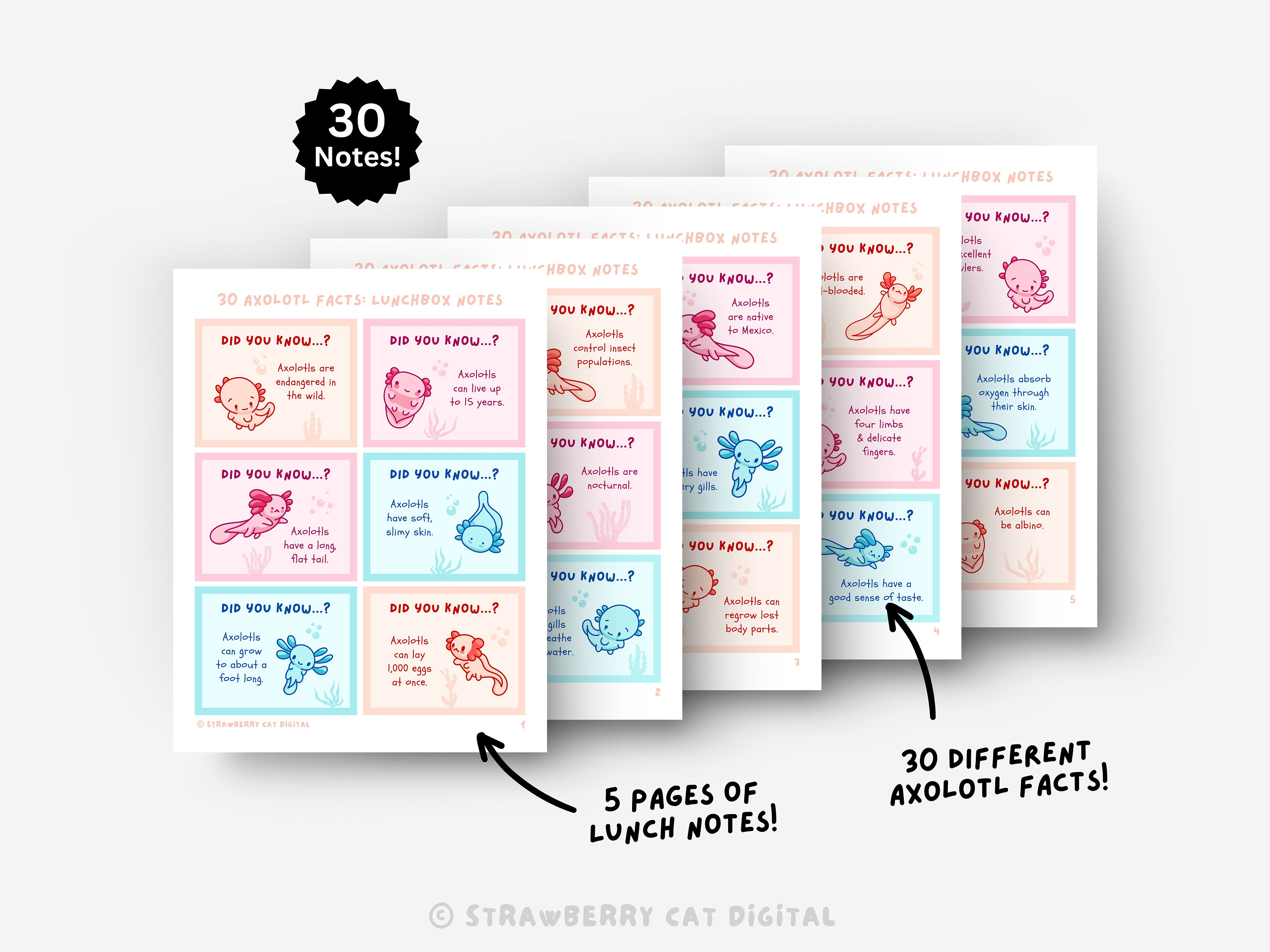 Axolotl Facts Lunchbox Notes PRINTABLE Lunch Notes for Kids Animal ...