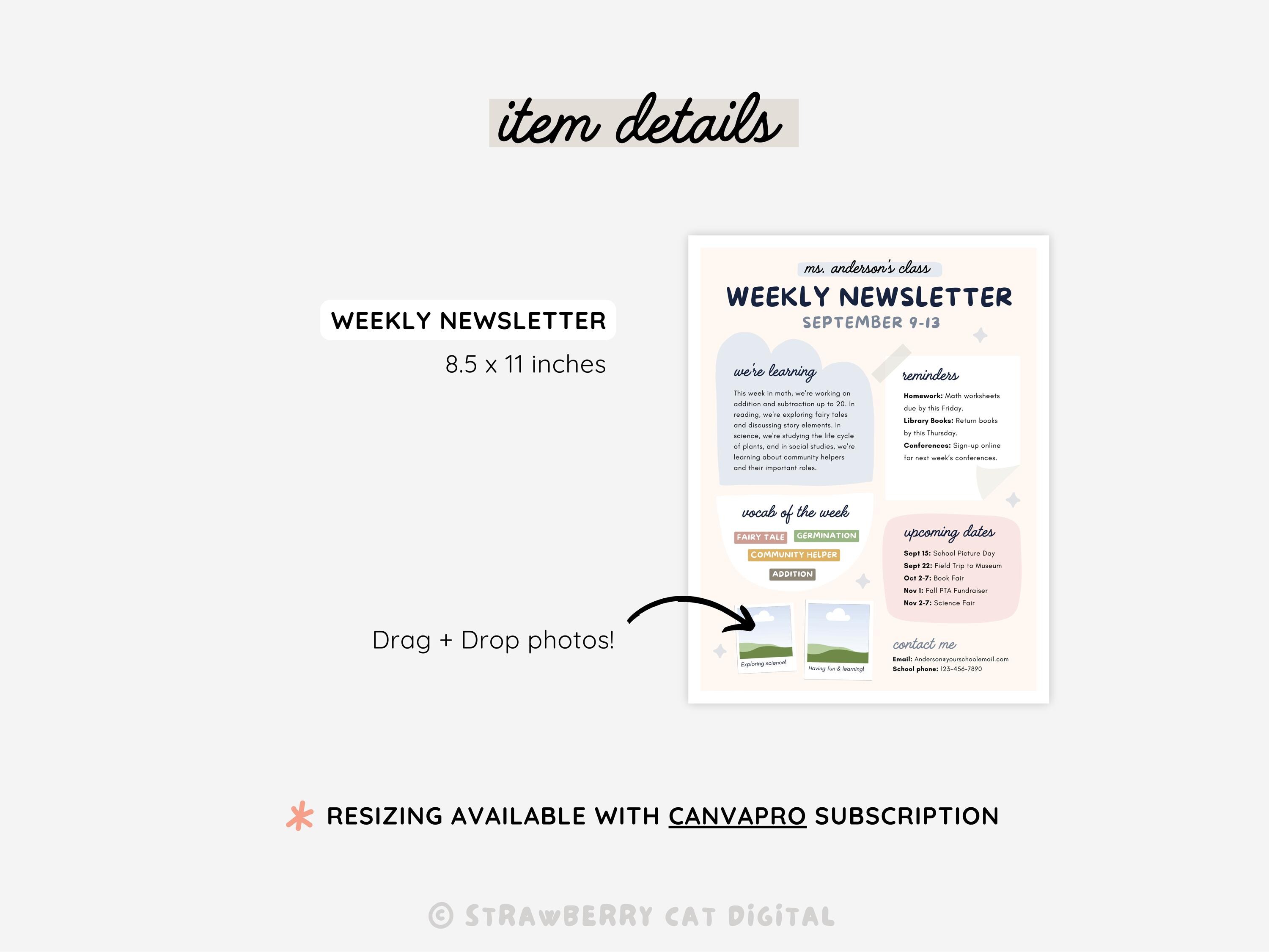 Editable Weekly Newsletter Natural Tones Canva Template | Monthly ...